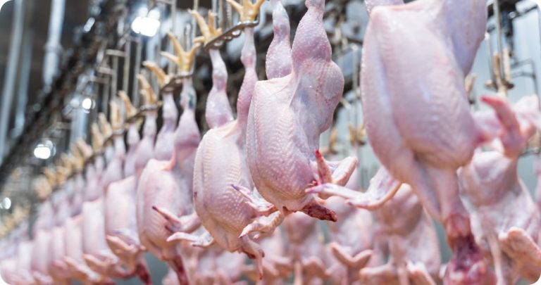 Harumi Halal Chicken – HARUMi Brands