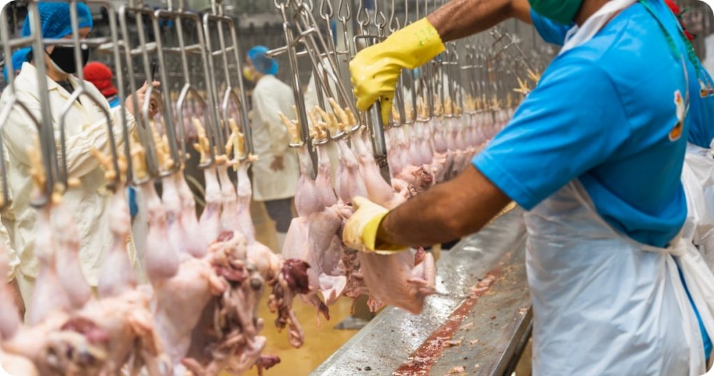 Trusted Halal Chicken Supplier - Klang Valley, Penang, Perak, Selangor & KL