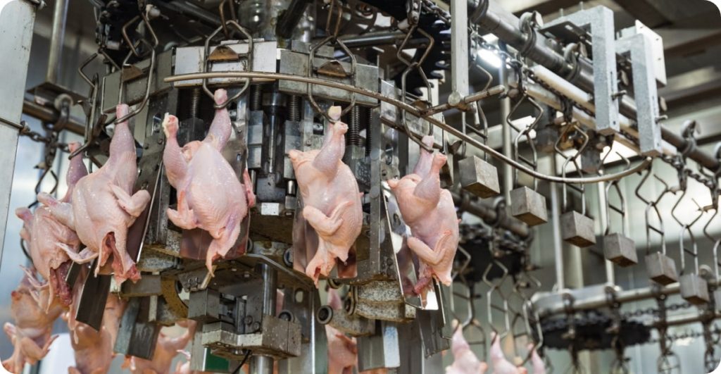 Trusted Halal Chicken Supplier - Klang Valley, Penang, Perak, Selangor & KL