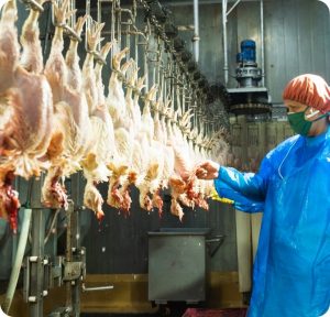 Trusted Halal Chicken Supplier - Klang Valley, Penang, Perak, Selangor & KL