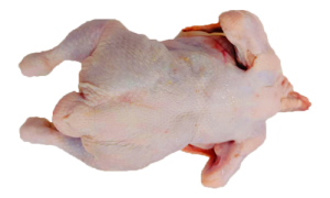 Harumi Chicken: Trusted Chicken Suppliers in KL